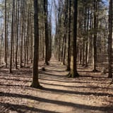 Plateau Trail, Ohio - 3,183 Reviews, Map | AllTrails