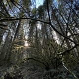 Four County Point Trail, Oregon - 116 Reviews, Map | AllTrails