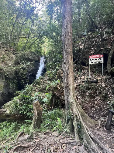 Best Hikes and Trails in Cockscomb Basin Wildlife Sanctuary | AllTrails