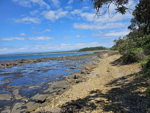 Best Hikes and Trails in Broulee Island Nature Reserve | AllTrails