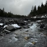 Wonderland Trail: Longmire to Cougar Rock Campground, Washington - 313 ...
