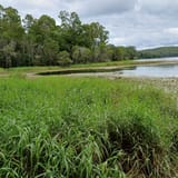 Enoggera Reservoir Circuit, Queensland, Australia - 1,540 Reviews, Map ...