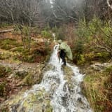 West Highland Way: Rowardennan to Inversnaid, Glasgow City, Scotland ...