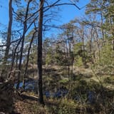 Neusiok Trail, North Carolina - 90 Reviews, Map | AllTrails