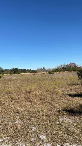 Best Hikes and Trails in Fish Hawk Nature Preserve South | AllTrails