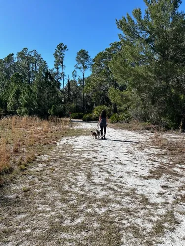 Best Hikes and Trails in Fish Hawk Nature Preserve South | AllTrails