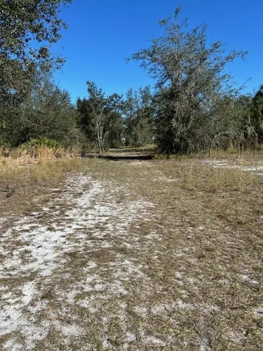 Best Hikes and Trails in Fish Hawk Nature Preserve South | AllTrails