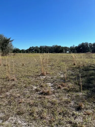 Best Hikes and Trails in Fish Hawk Nature Preserve South | AllTrails