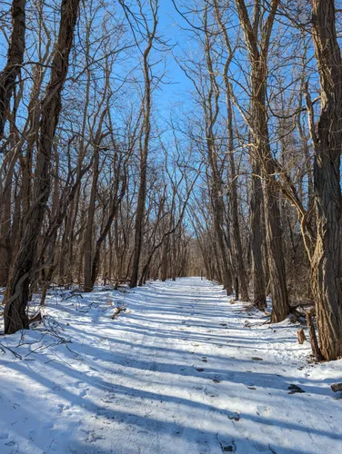 Best Hikes and Trails in Warwick City Park | AllTrails
