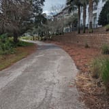 Lake Baldwin Loop, Florida - 1,170 Reviews, Map | AllTrails