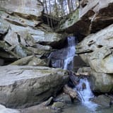 Slippery Rock Gorge Trail, Pennsylvania - 1,387 Reviews, Map | AllTrails