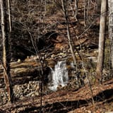 Daniel Ridge Loop, North Carolina - 1,878 Reviews, Map | AllTrails