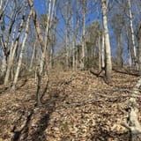 Stringers Ridge via Blue Trail, Tennessee - 1,841 Reviews, Map | AllTrails