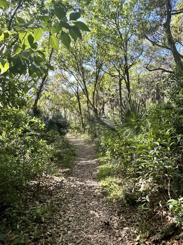 Best Hikes and Trails in Fern Forest Nature Center | AllTrails