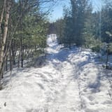Blue Job Mountain Loop, New Hampshire - 1,960 Reviews, Map | AllTrails