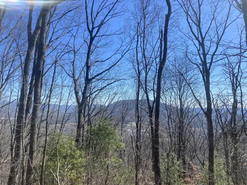 Best Hikes and Trails in Lone Mountain State Forest | AllTrails