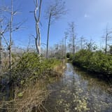 Apoxee and Owahee Trail Loop, Florida - 321 Reviews, Map | AllTrails
