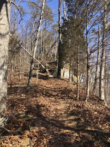 Best Hikes and Trails in Red House | AllTrails