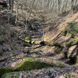 Natural Bridge Trail and Rock Shelter Trail Loop, Ohio - 1,495 Reviews ...