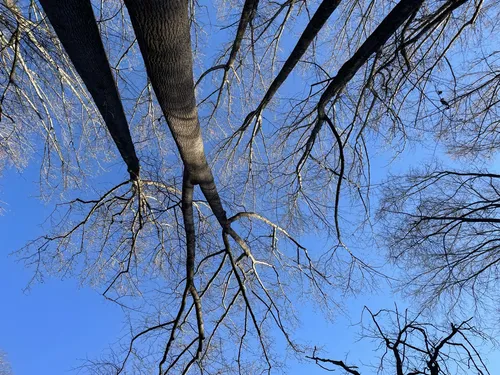 Best Hikes and Trails in Banshee Reeks Nature Preserve | AllTrails