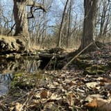 Sac River Trail, Missouri - 538 Reviews, Map | AllTrails