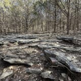 Sac River Trail, Missouri - 538 Reviews, Map | AllTrails