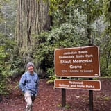 Stout Memorial Grove Trail, California - 2,408 Reviews, Map | AllTrails