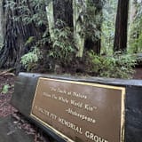 Stout Memorial Grove Trail, California - 2,408 Reviews, Map | AllTrails