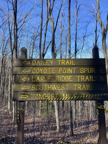 Best Hikes and Trails in Lone Mountain State Forest | AllTrails