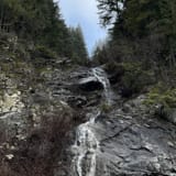 Iron Goat Trail, Washington - 1,385 Reviews, Map | AllTrails