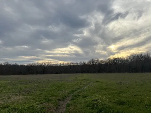 Best Hikes and Trails in Rowlett Creek Preserve | AllTrails
