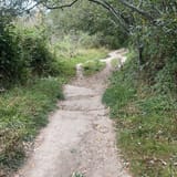 Ragle Ranch Extended Loop, California - 730 Reviews, Map | AllTrails