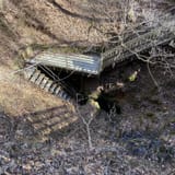 Cave Spring Loop Trail, Missouri - 373 Reviews, Map | AllTrails