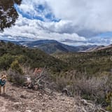 Carlito Springs Loop, New Mexico - 462 Reviews, Map | AllTrails