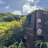 Sigua Falls, Agana Heights, Guam - 566 Reviews, Map | AllTrails