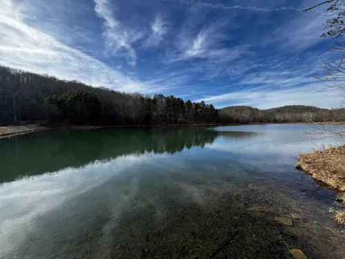 Best Camping Trails in Birch Tree | AllTrails