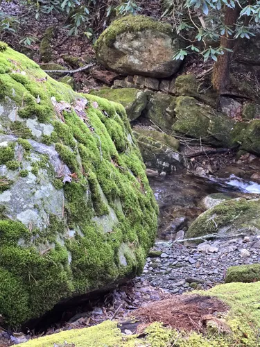 Best Hikes and Trails in Sampson Mountain Wilderness | AllTrails