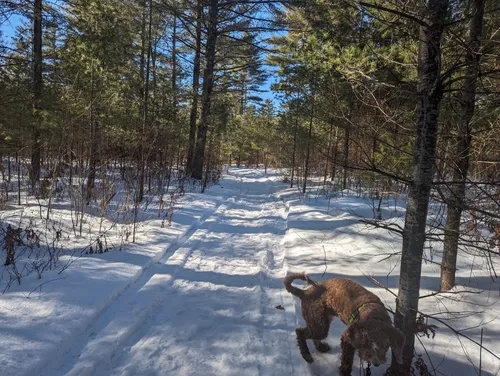 Best Hikes and Trails in Smith Bridge Preserve | AllTrails