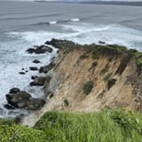 Tomales Point Trail, California - 6,256 Reviews, Map | AllTrails