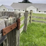 Tomales Point Trail, California - 6,256 Reviews, Map | AllTrails