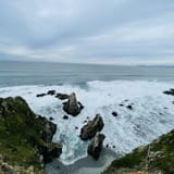 Tomales Point Trail, California - 6,256 Reviews, Map | AllTrails