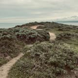 Tomales Point Trail, California - 6,256 Reviews, Map | AllTrails