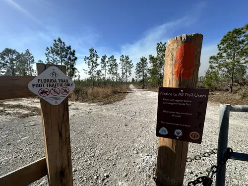 Best Hikes and Trails in Camp Blanding Wildlife Management Area | AllTrails