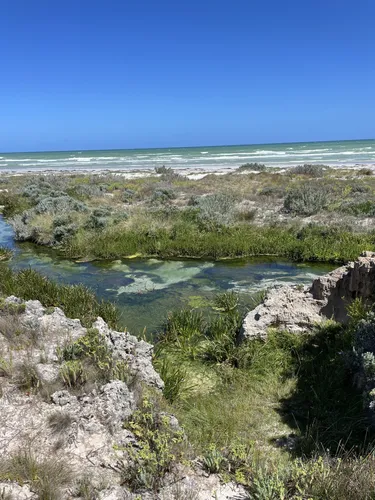 Best Hikes and Trails in Piccaninnie Ponds Conservation Park | AllTrails