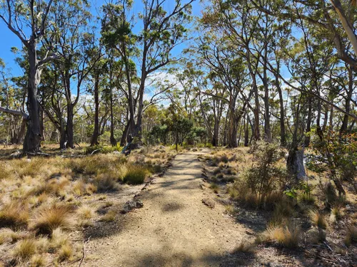 Best Hikes and Trails in Knocklofty Reserve | AllTrails