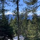 Cle Elum Ridge via Ewok and Crooked Tree Trail, Washington - 138 ...