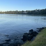 Orakei Basin Walkway, Auckland, New Zealand - 360 Reviews, Map | AllTrails
