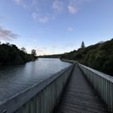 Orakei Basin Walkway, Auckland, New Zealand - 360 Reviews, Map | AllTrails