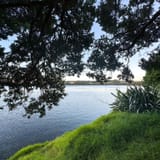 Orakei Basin Walkway, Auckland, New Zealand - 360 Reviews, Map | AllTrails