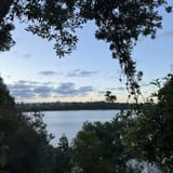 Orakei Basin Walkway, Auckland, New Zealand - 360 Reviews, Map | AllTrails